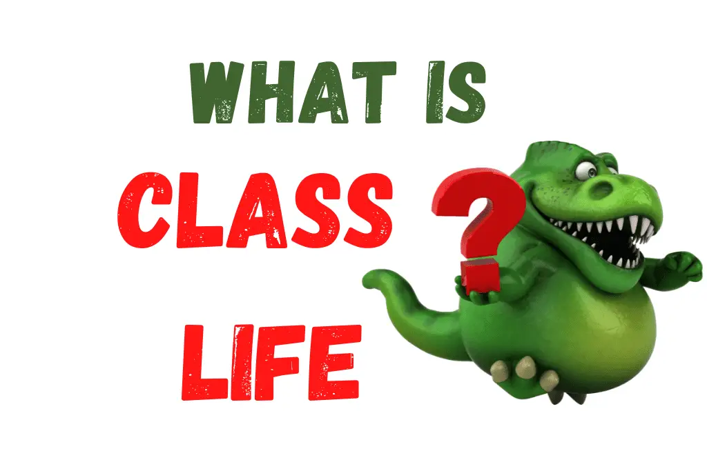 How is Class Life or Useful Life Determined for an Asset? – Accounting ...