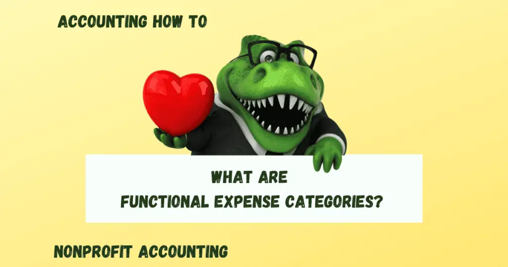 What are Functional Expense Categories in Nonprofit Accounting ...