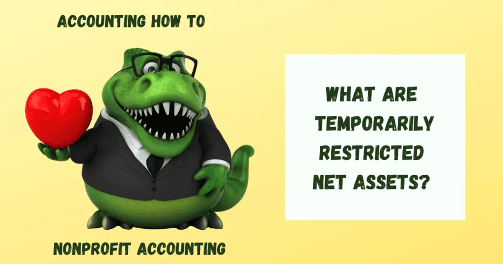 What are Temporarily Restricted Net Assets in a Non-profit Organization ...
